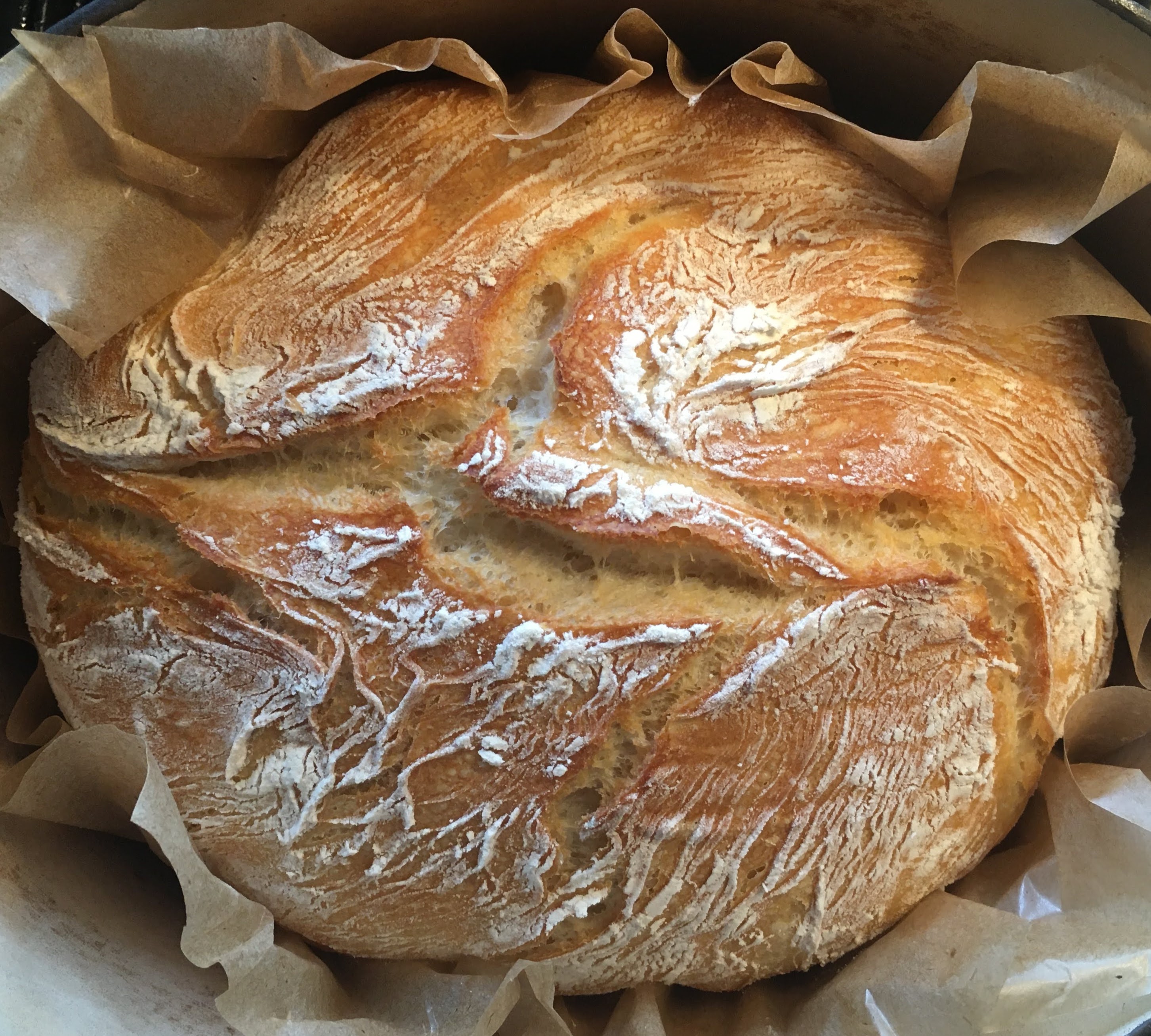 Week 3: Boule – Breademic