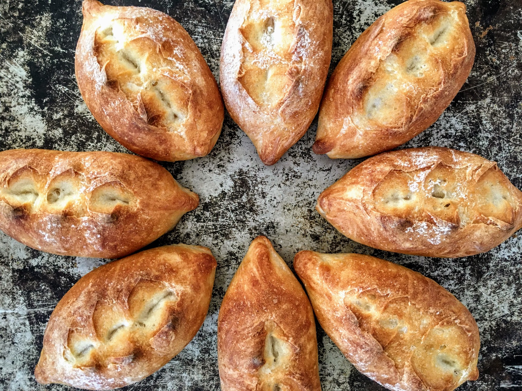 Week 12: Bolillos – Breademic
