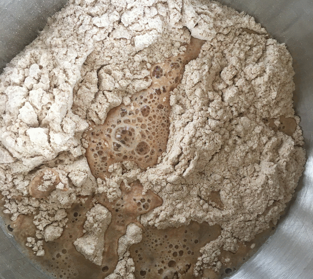Week 21: 100% Whole Wheat – Breademic