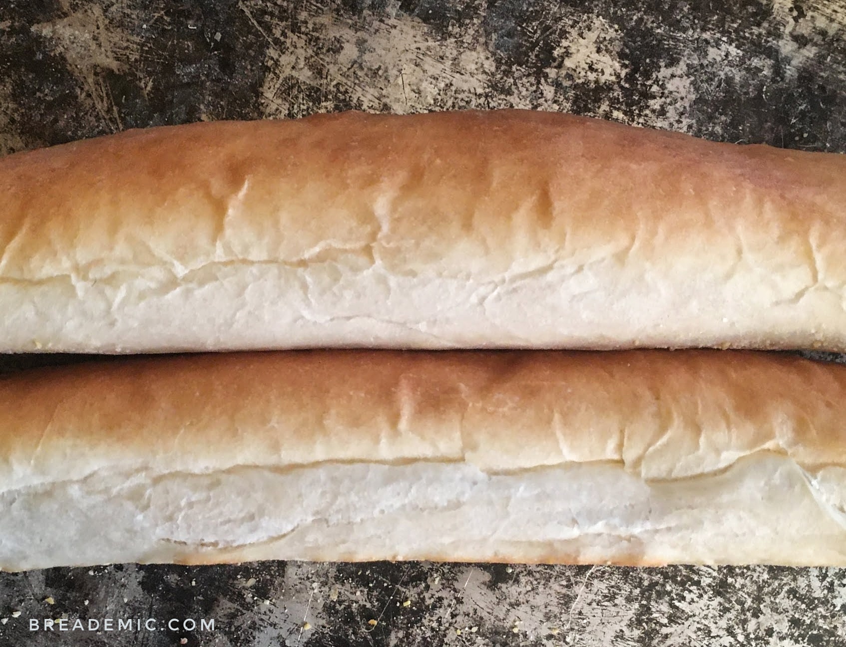 Week 23: Po-Boy Rolls – Breademic